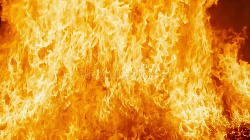 A Close Up of a Fire with Orange Flames Stock Video - Video of nature ...