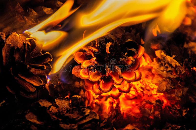 Close Up on a Fire with Pine Cones Stock Photo - Image of glowing ...