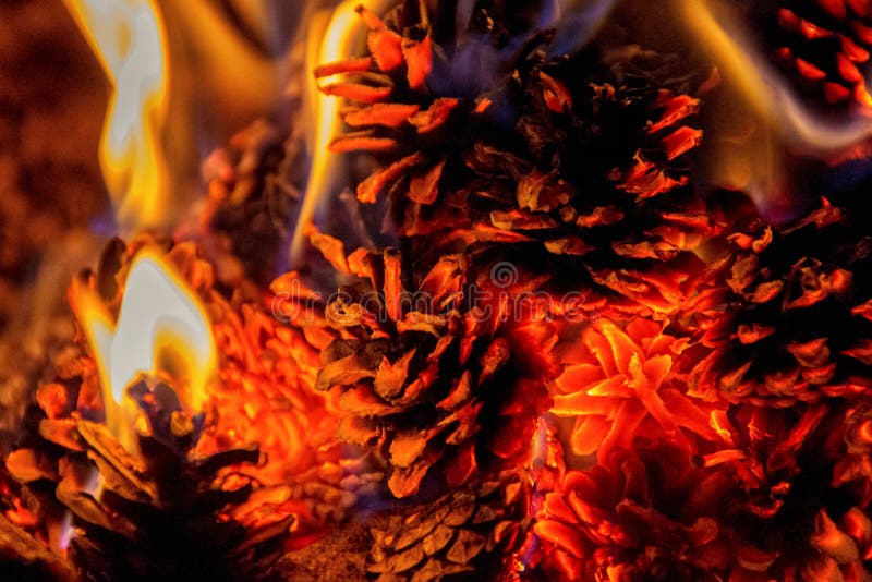 Close Up on a Fire with Pine Cones Stock Photo - Image of embers ...
