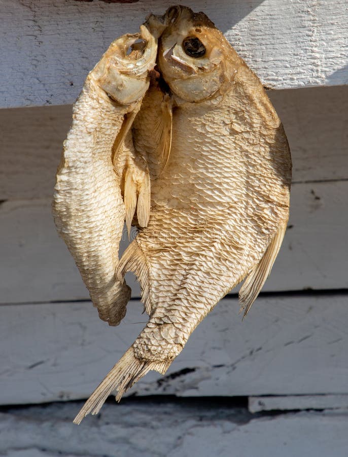 A Close-up with Fish Hanging for Dehydration Stock Image - Image of ...