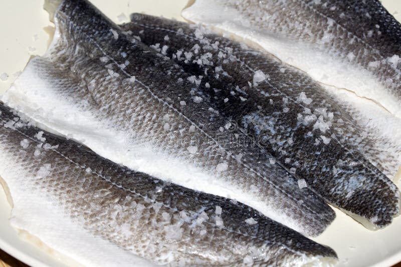 Close Up of Fish Skin and Scales with Sea Salt Abstract Macro ...