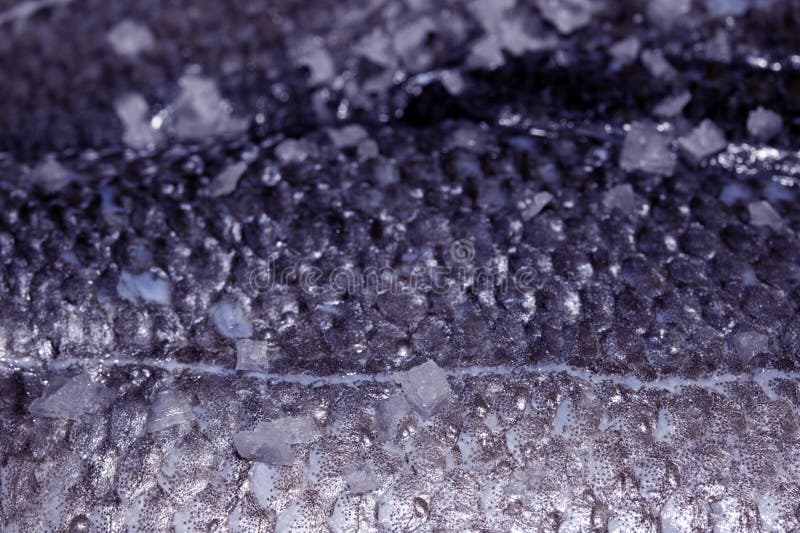 Close Up of Fish Skin and Scales with Sea Salt Abstract Macro ...