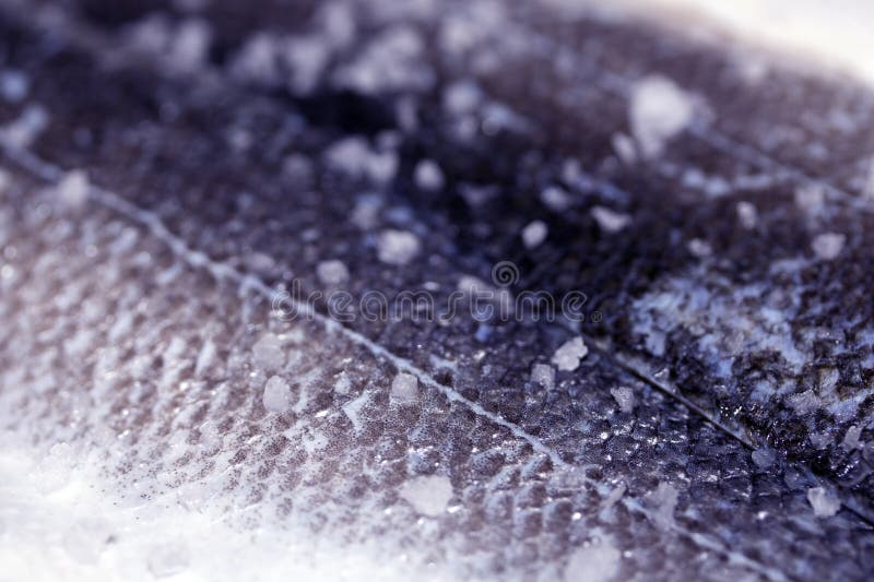 Close Up of Fish Skin and Scales with Sea Salt Abstract Macro ...