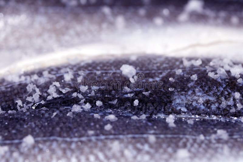 Close Up of Fish Skin and Scales with Sea Salt Abstract Macro ...