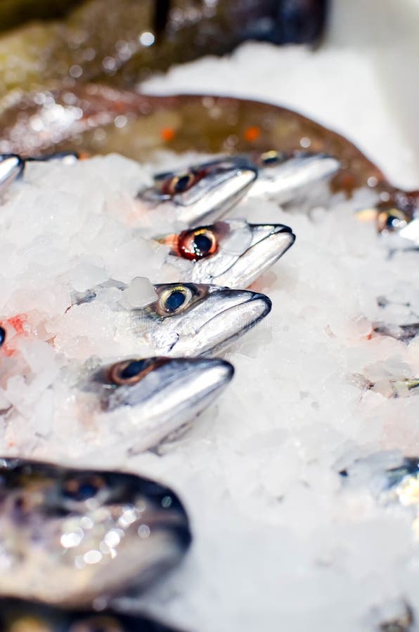 Fish in Crushed Ice at the Fishmonger Stock Photo - Image of animal ...