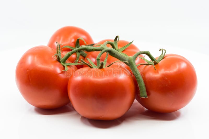 Five red truss tomatoes stock image. Image of healthy - 138013637