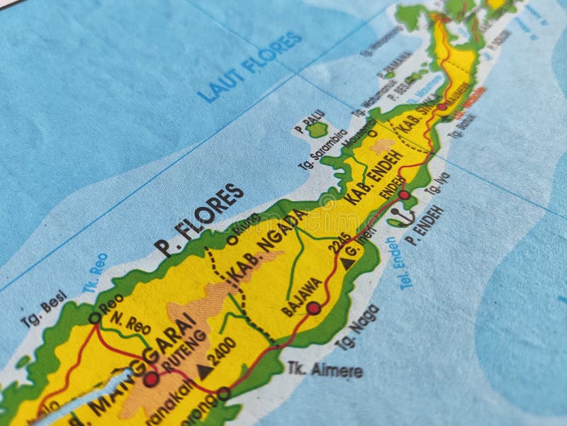 Flores Island Map and Major Cities Around it on Physical Map Stock ...
