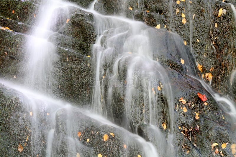 Close Up Flow with Fall Foliage Stock Image - Image of flow, cold: 21790259