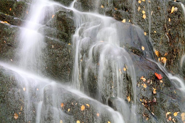 Close Up Flow with Fall Foliage Stock Image - Image of flow, cold: 21790259