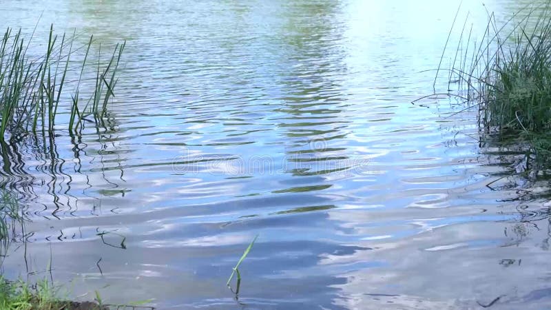 Close-up Flow of the River, Reflection of the Sky and White Clouds ...