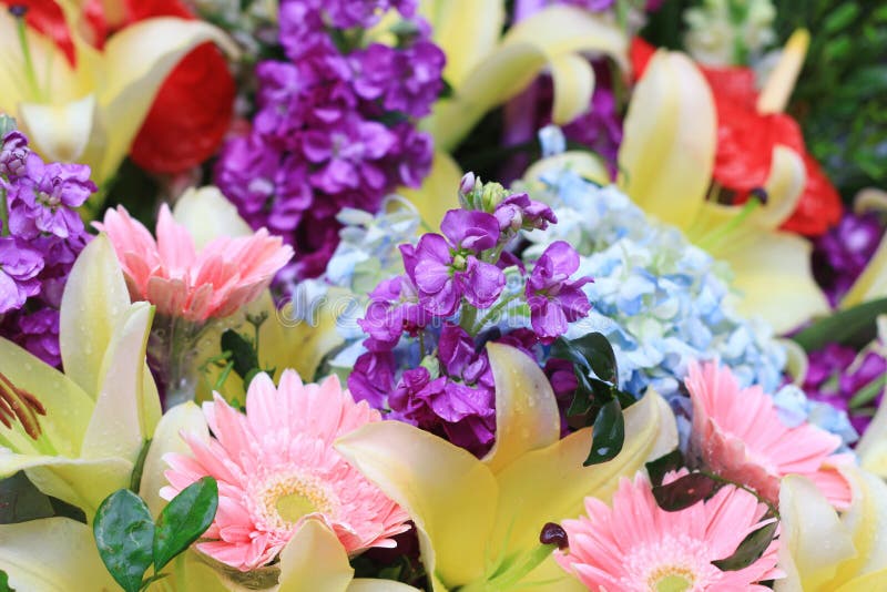 Close Up of a Flower Bouquet on Outdoor Stock Photo - Image of ...