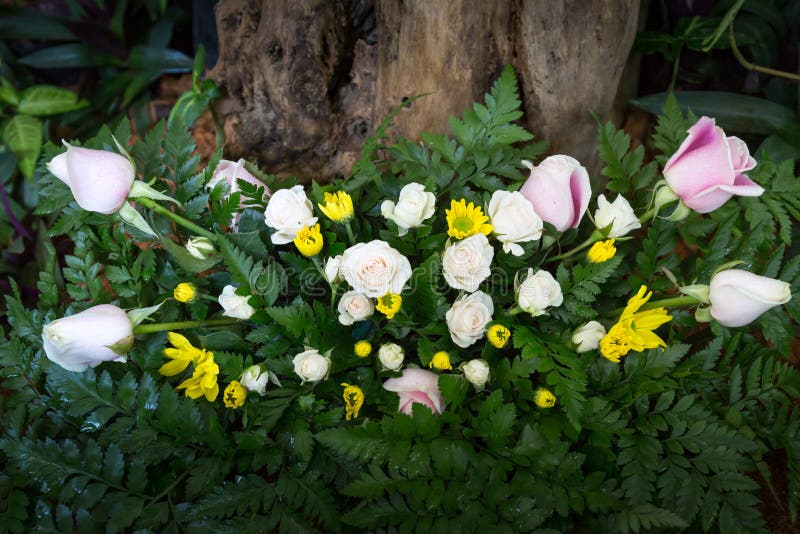 Close-up flower garden stock image. Image of nature - 127945909