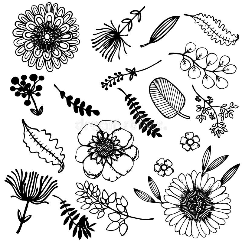 A close up of a flower stock vector. Illustration of arrow - 179241710