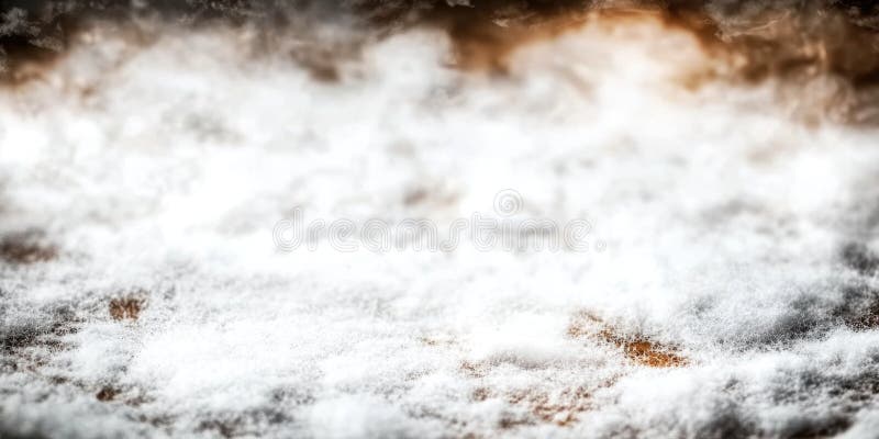 Close-up of Fluffy White Mold on Surface Stock Illustration - Illustration of detail, mold ...