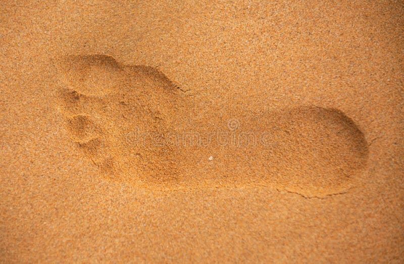 Close Up Foot Steps on Beach in Sandy. Stock Photo - Image of freedom ...