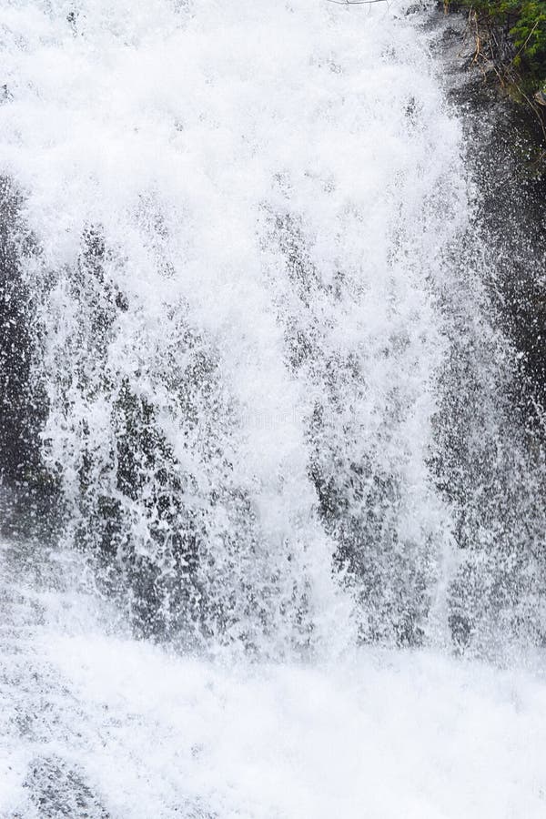 Gushing Milky White Water - Valara Waterfalls in Thick Forest in Idukki ...