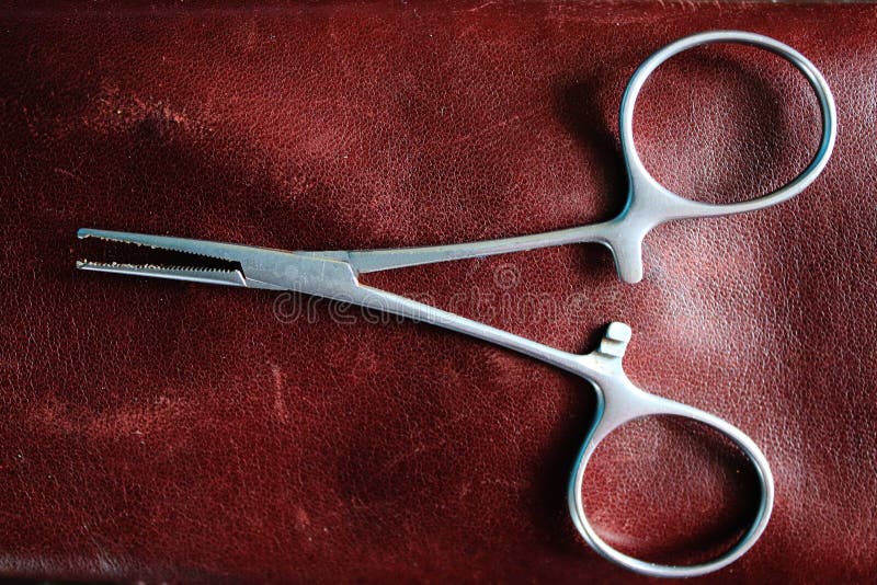 Close Up of a Forceps on a Background of Red Leather Stock Photo ...