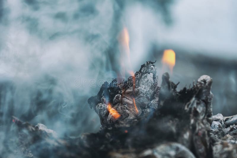 Close-up of a Forest Fire. Environmental Protection Stock Image - Image ...