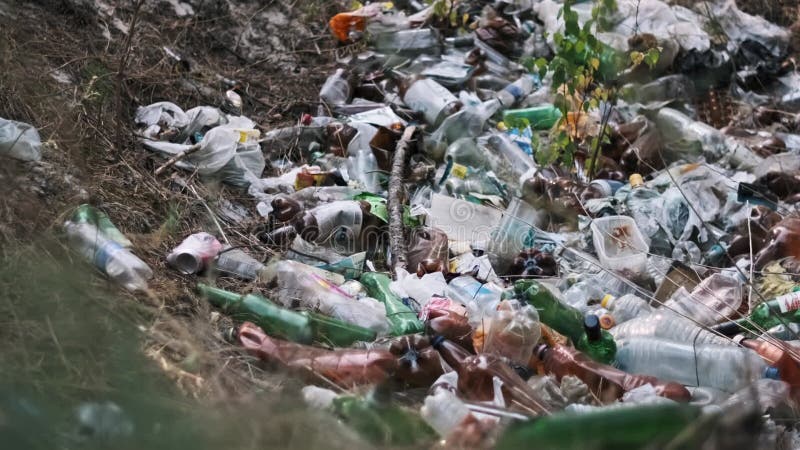 Forest Littered with Plastic Bottles, Garbage, and Waste Under a Hazy ...