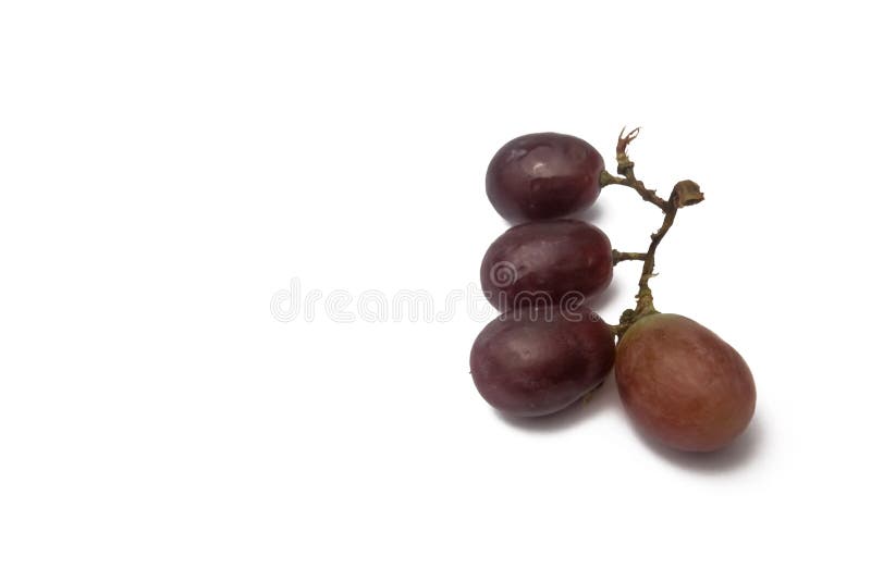 Close-up of Four Fresh Grapes on White Background Stock Photo - Image ...