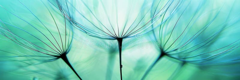 Close Up of Fragile Dandelion Seed Against Soft Blue Sky, Showcasing ...