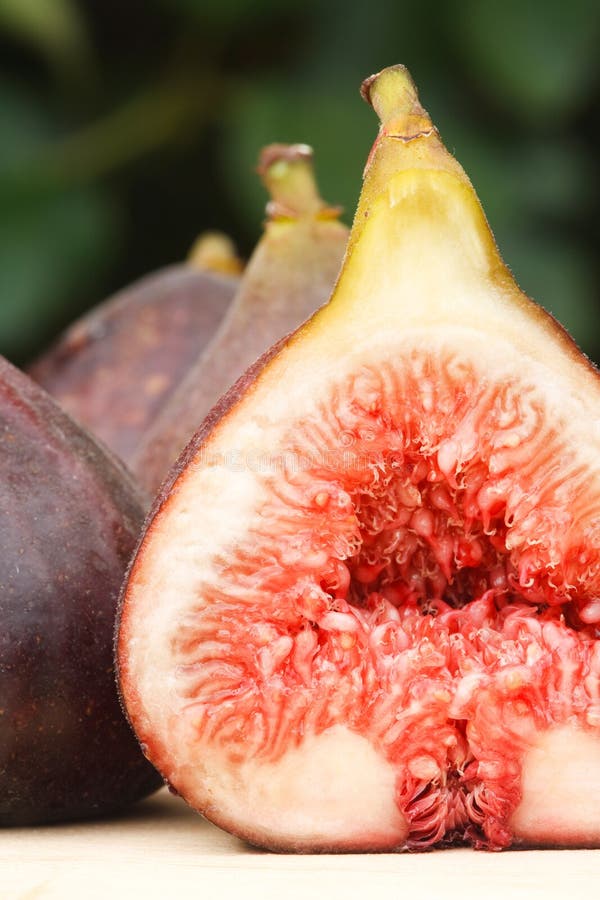 Close up fresco do figo imagem de stock. Imagem de figos - 25523015