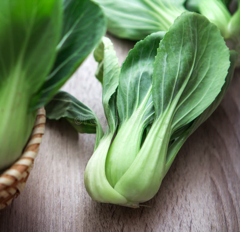 Close Up the Fresh Baby Green Bok Choy Stock Photo - Image of vegetable ...