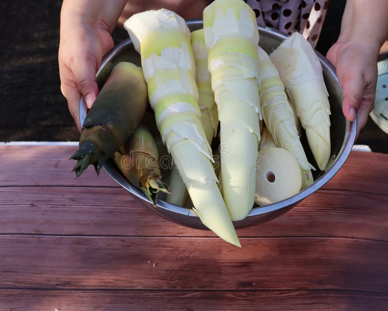 Close-up of Fresh Bamboo Shoots for Cooking Organic Vegetables Stock ...