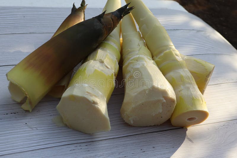 Close-up of Fresh Bamboo Shoots for Cooking Organic Vegetables Stock ...