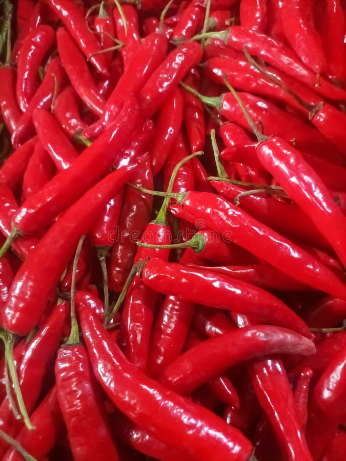 Close Up Fresh Big Red Chili Stock Image - Image of bumbu, closeup ...