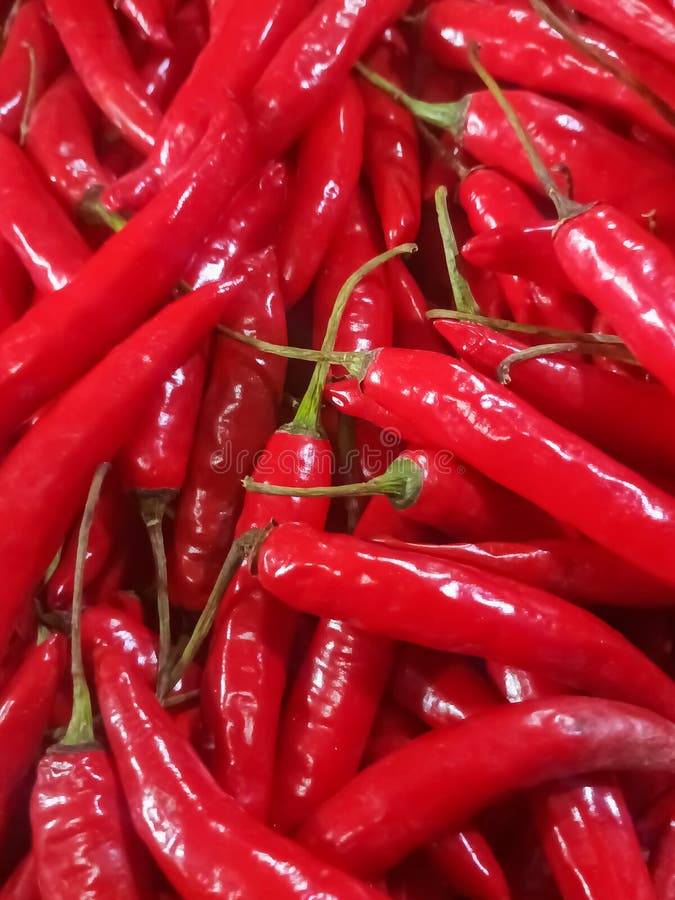 Close Up Fresh Big Red Chili Stock Photo - Image of capsicum, healthy ...