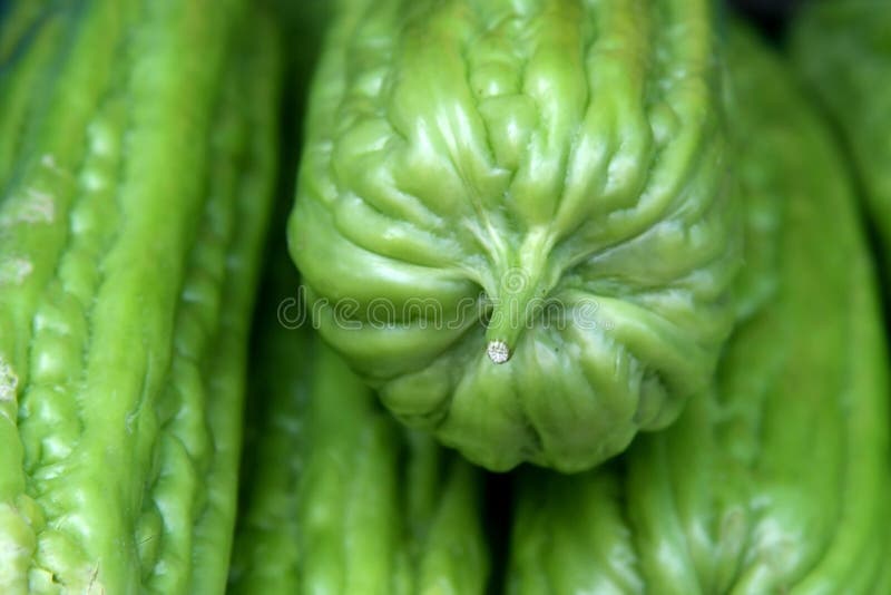 Close-up of Fresh Bitter Gourd. Green Bitter Gourd. Stock Image - Image ...