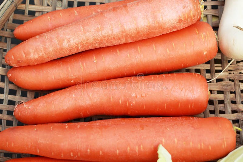 Close-up of the Fresh Carrots. Stock Image - Image of uncooked, meal ...