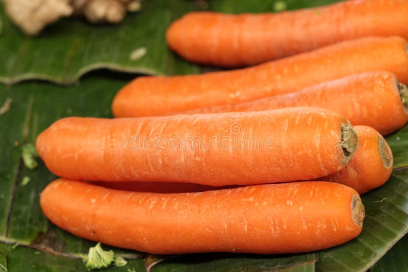 Close-up of the Fresh Carrots. Stock Image - Image of carrot, meal ...