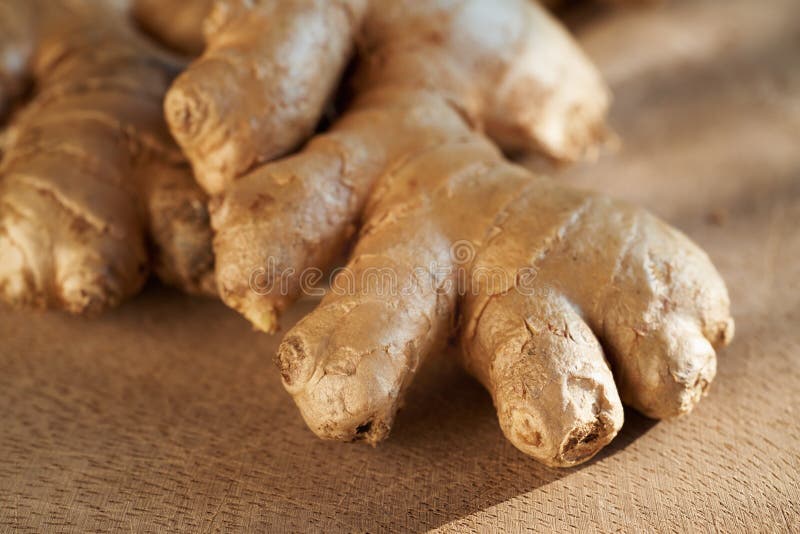 Close Up of Fresh Ginger Root Stock Photo - Image of nature, vitamin ... Close Up of Fresh Ginger Root Stock Photo - Image of nature, vitamin ...