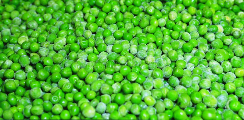 Close Up of Fresh Green Broad Beans Stock Photo - Image of faba, diet ...