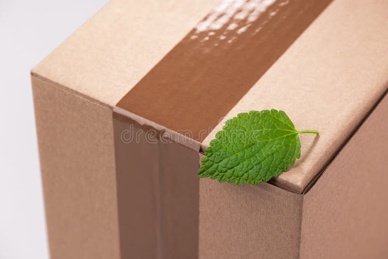 Close-up on a Fresh Green Leaf on a Cardboard Box Stock Image - Image ...