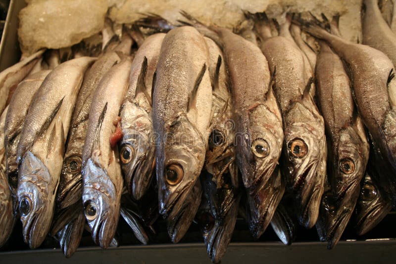 245 Gross Fish Stock Photos - Free & Royalty-Free Stock Photos from ...