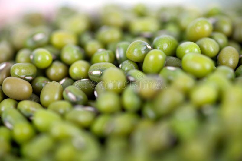 Close Up of Fresh Mung Beans Stock Image - Image of legumes, mung ...