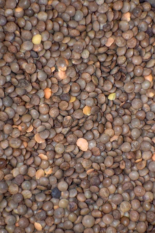 Close up of a fresh Pulses stock photo. Image of cuisine - 138625732