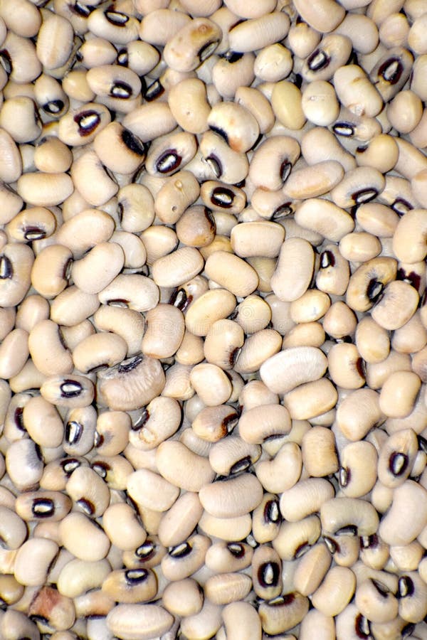 Close up of a fresh Pulses stock image. Image of autumn - 138625745