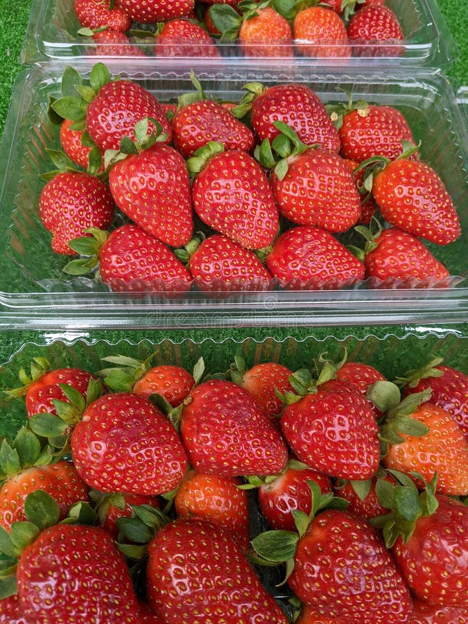 Close Up of Fresh Red Strawberries at the Market Stock Image - Image of ...