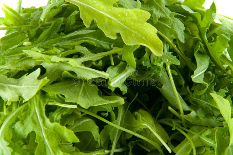 Fresh rucola stock image. Image of fresh, salad, snack - 2417695