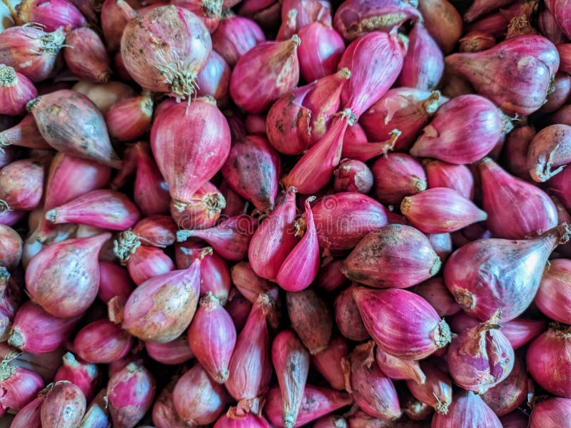 Close-up of Fresh Shallots with Natural Skin Texture Details. Stock ...