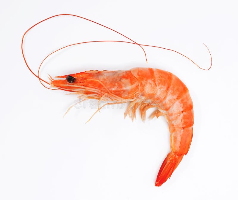 Fresh Big Red Shrimp On Ice On A Black Stone Table Stock Photo - Image ...