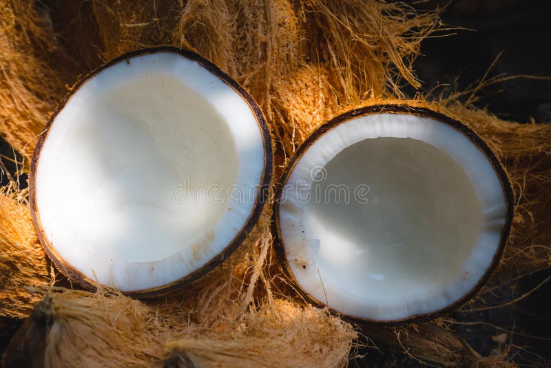 Close Up of a Sliced Coconut Stock Photo - Image of coconut, brown ...