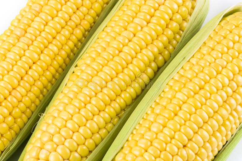 Sweet Corn Isolated on White Background Stock Image - Image of colorful ...