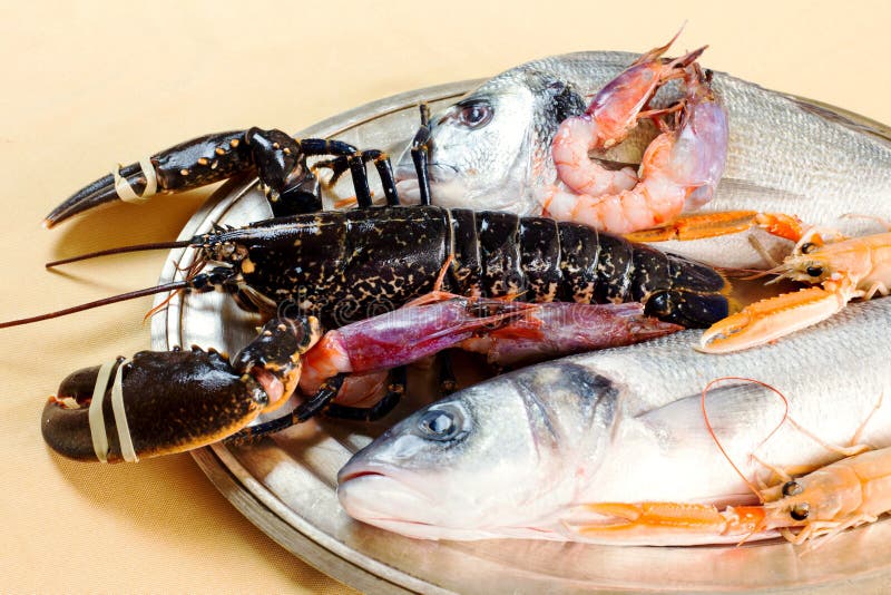 Seafood selection stock photo. Image of dinner, cuisine - 496352