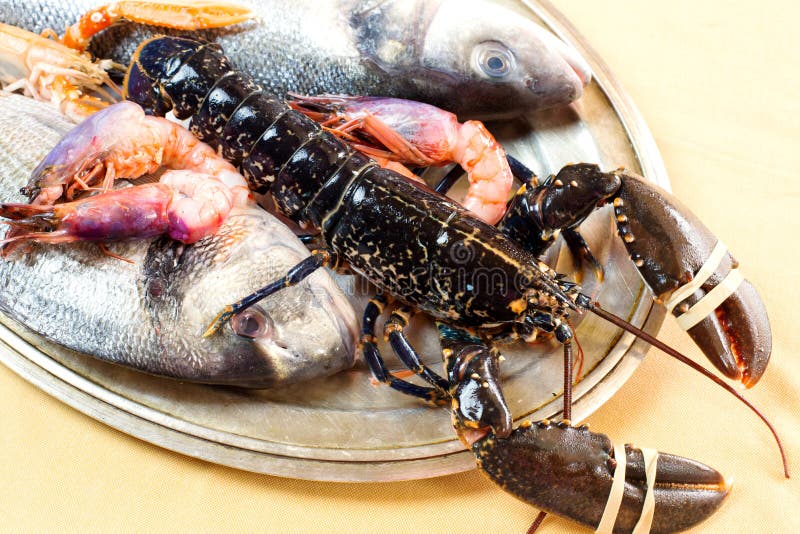 Seafood selection stock photo. Image of dinner, cuisine - 496352