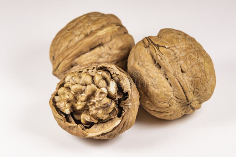 Close Up Walnuts within a Hard Shell Stock Image - Image of macro ...